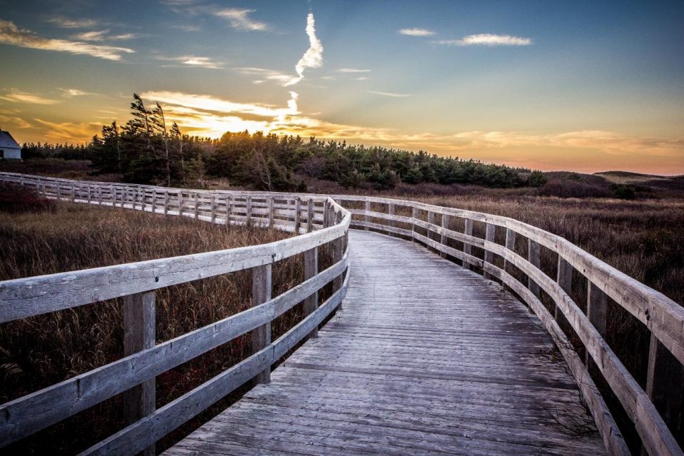 PEI_Confederation Trail – Trans Canada Trail