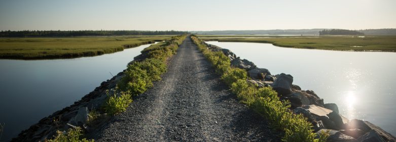Trans Canada Trail | Canada's National Trail Guides, Hiking, Camping ...