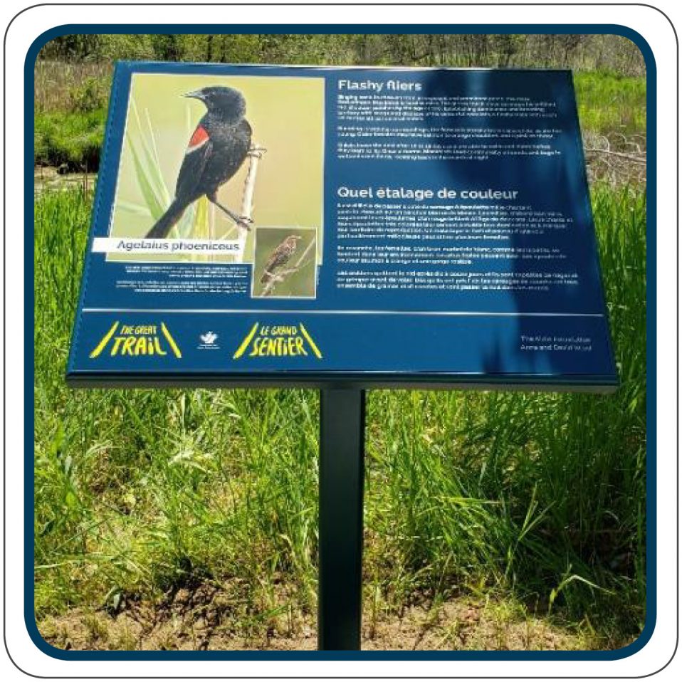 Trans Canada Trail | Signage 101: Trailheads and interpretive panels