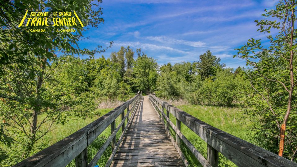 Trans Canada Trail | Zoom backgrounds