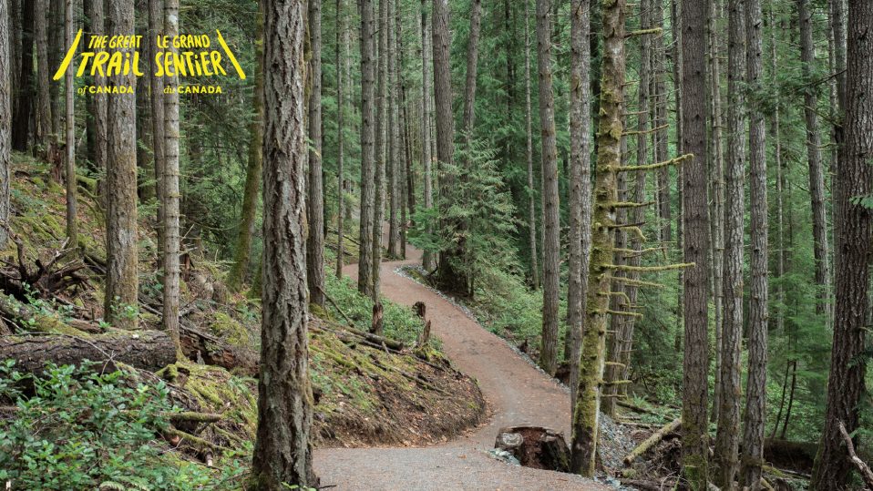 Trans Canada Trail | Zoom backgrounds