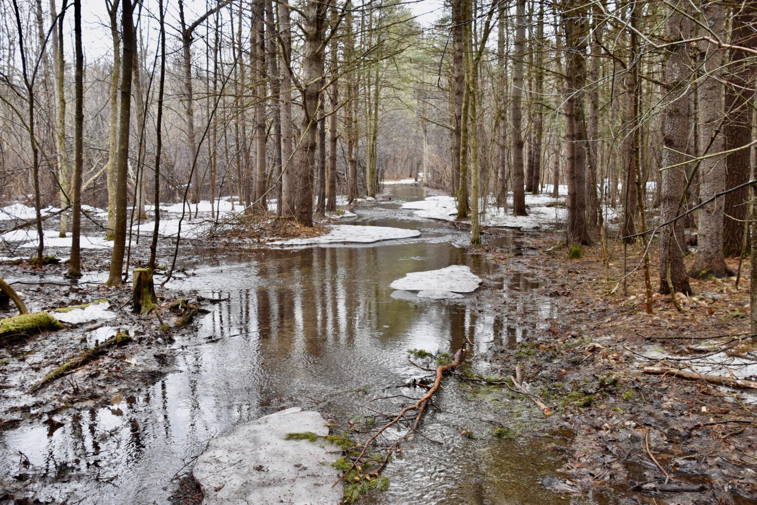 Trans Canada Trail | Canada's National Trail