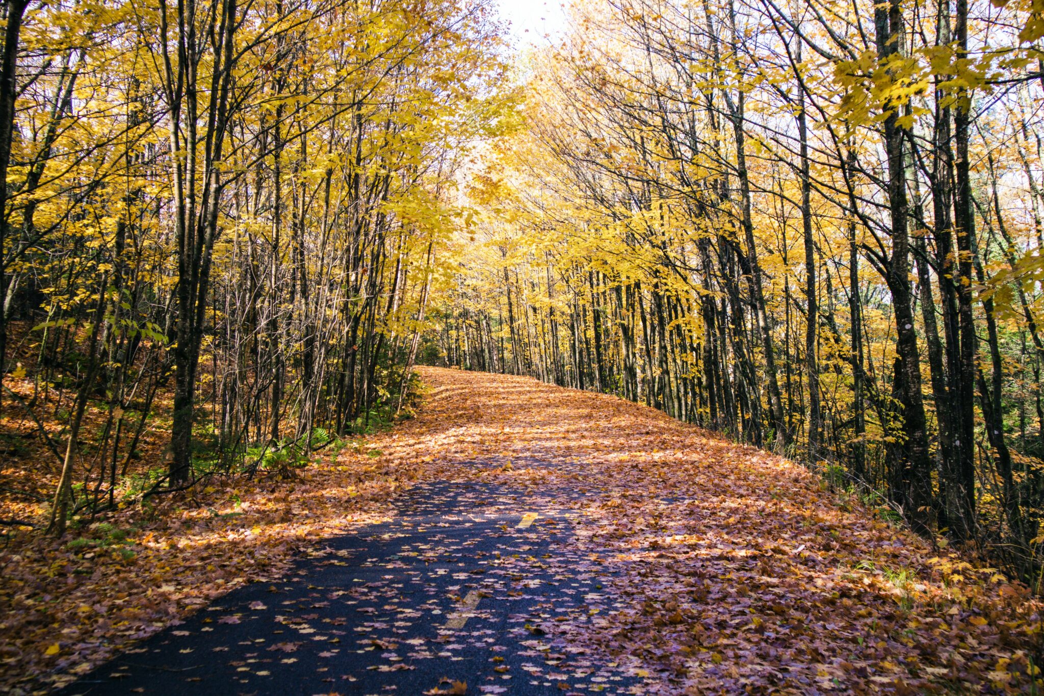 Trans Canada Trail | Trans Canada Trail’s Accessibility Mapping Program ...