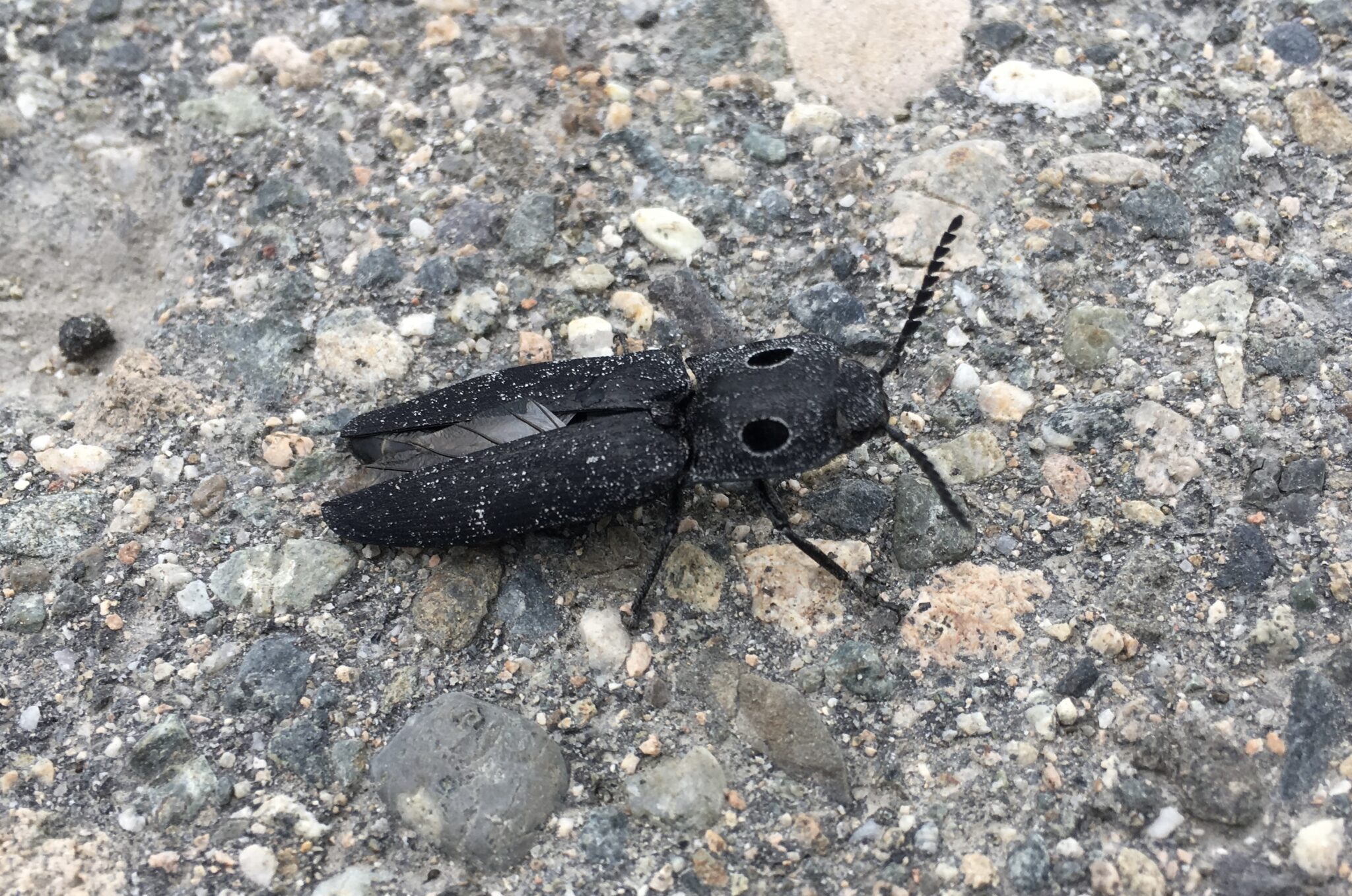 Trans Canada Trail | Bonnie’s Trans Canada Trail: Something for ...