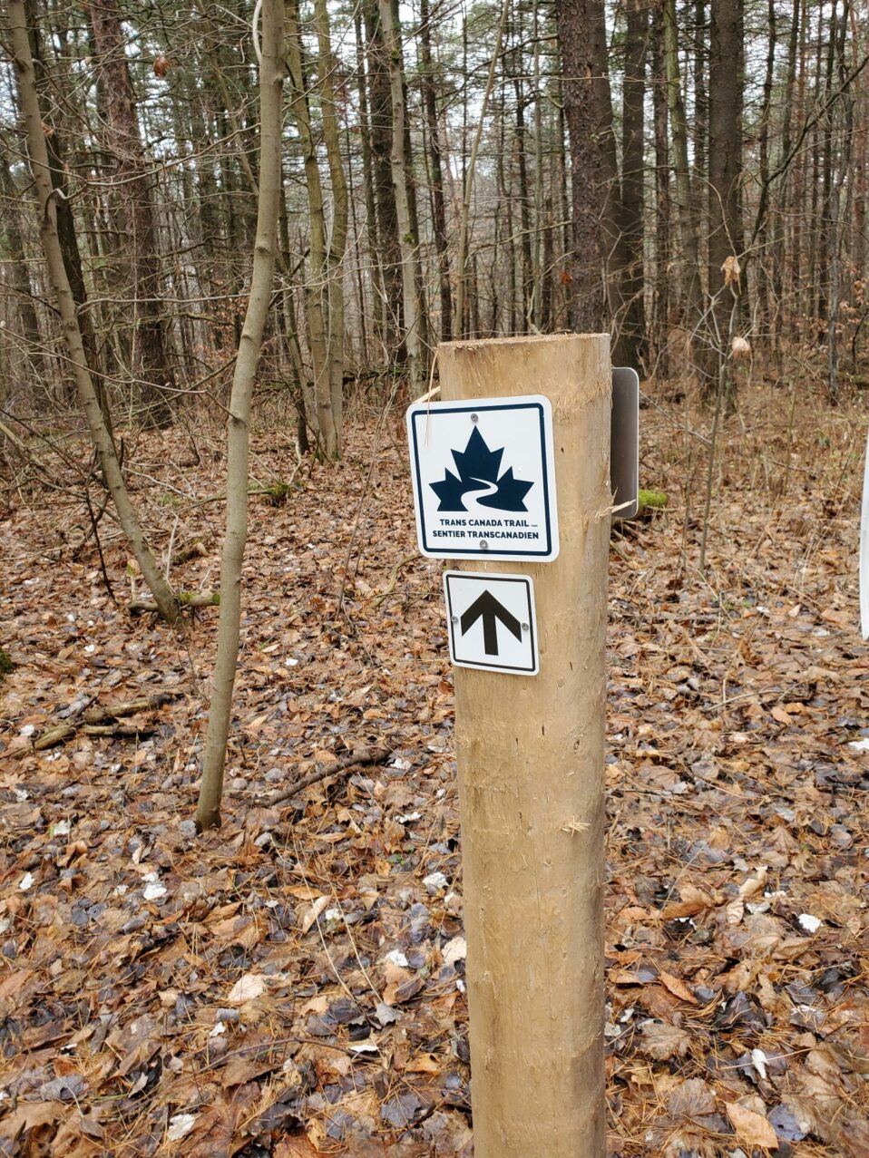 Trans Canada Trail | Signage 101: Wayfinding signs and directional arrows