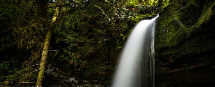 Our Top Spots on the Trans Canada Trail for Earth Day