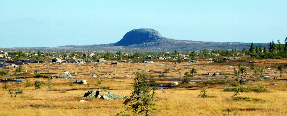 Trans Canada Trail | Trail Profile: Newfoundland T’Railway