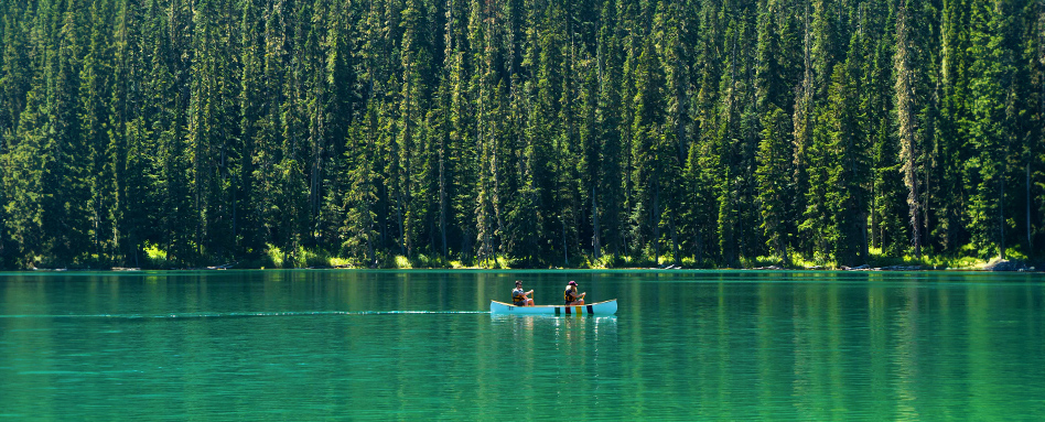 Trans Canada Trail | Tree Planting Resource Guide